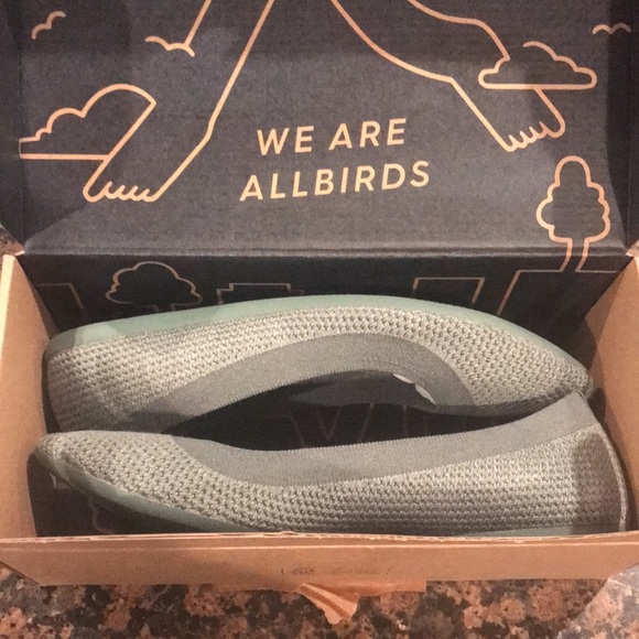 allbirds | Shoes | All Birds Sage Green Tree Breezer Flats | Poshmark